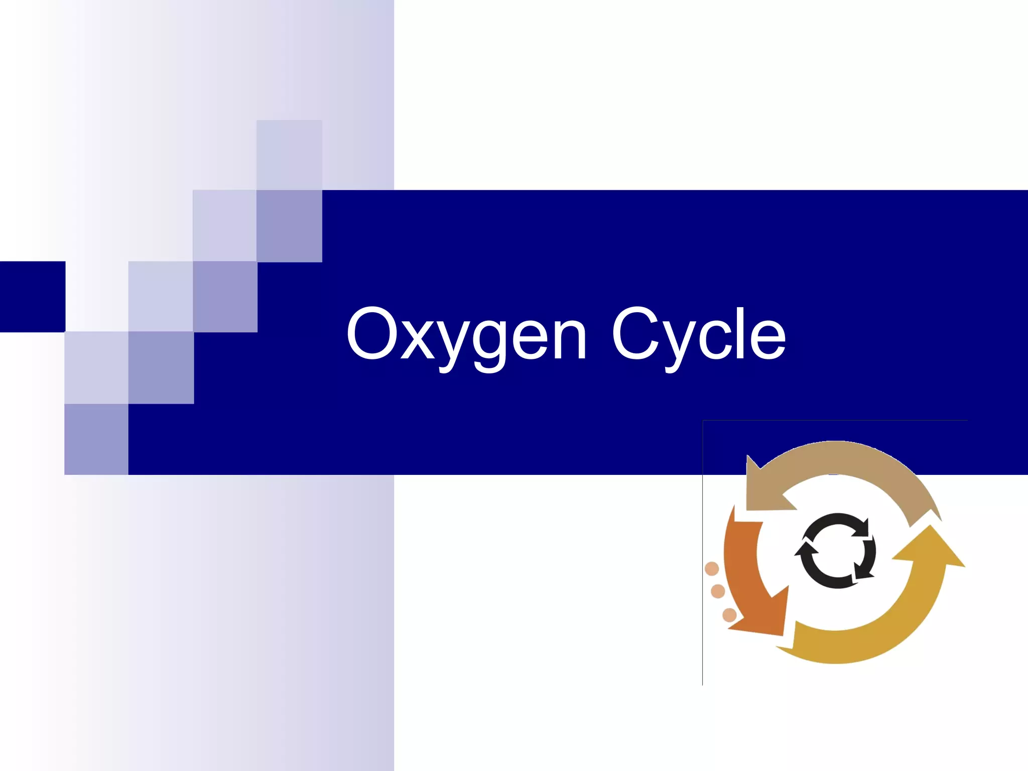 Oxygen cycle | PPT