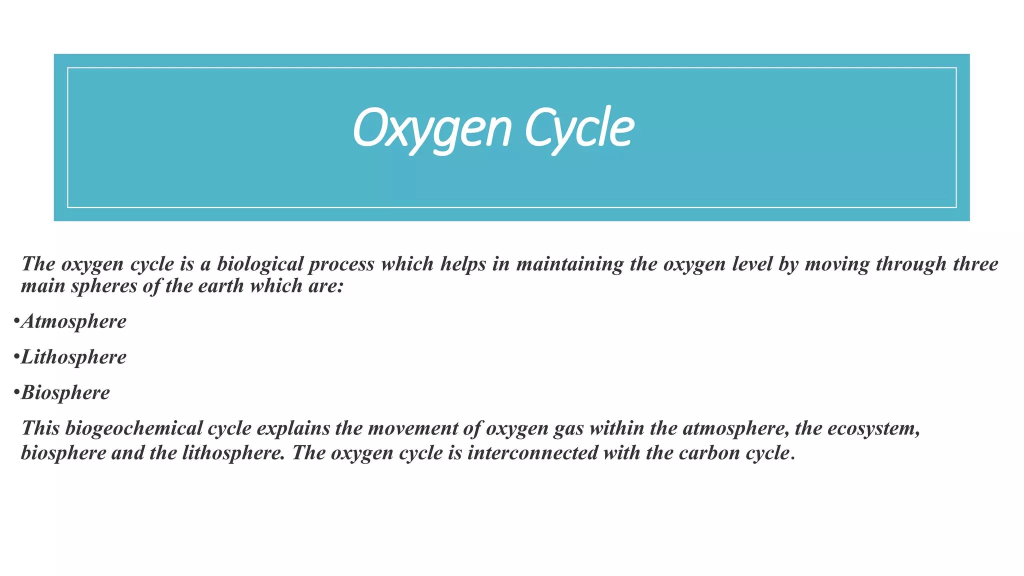 Oxygen cycle | PDF