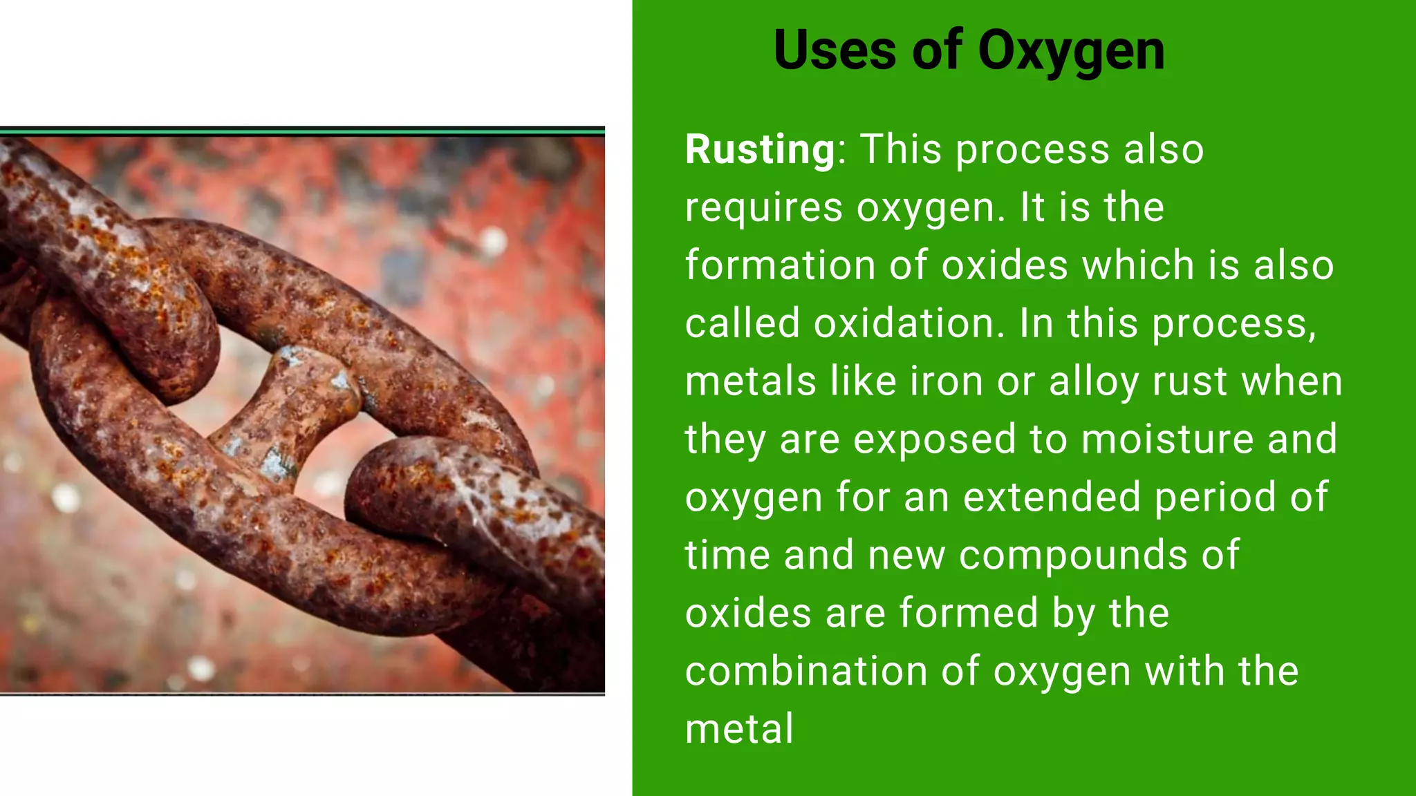 OXYGEN CYCLE.pptx
