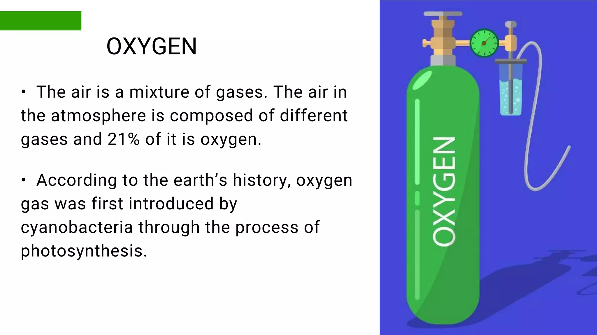 OXYGEN CYCLE.pptx