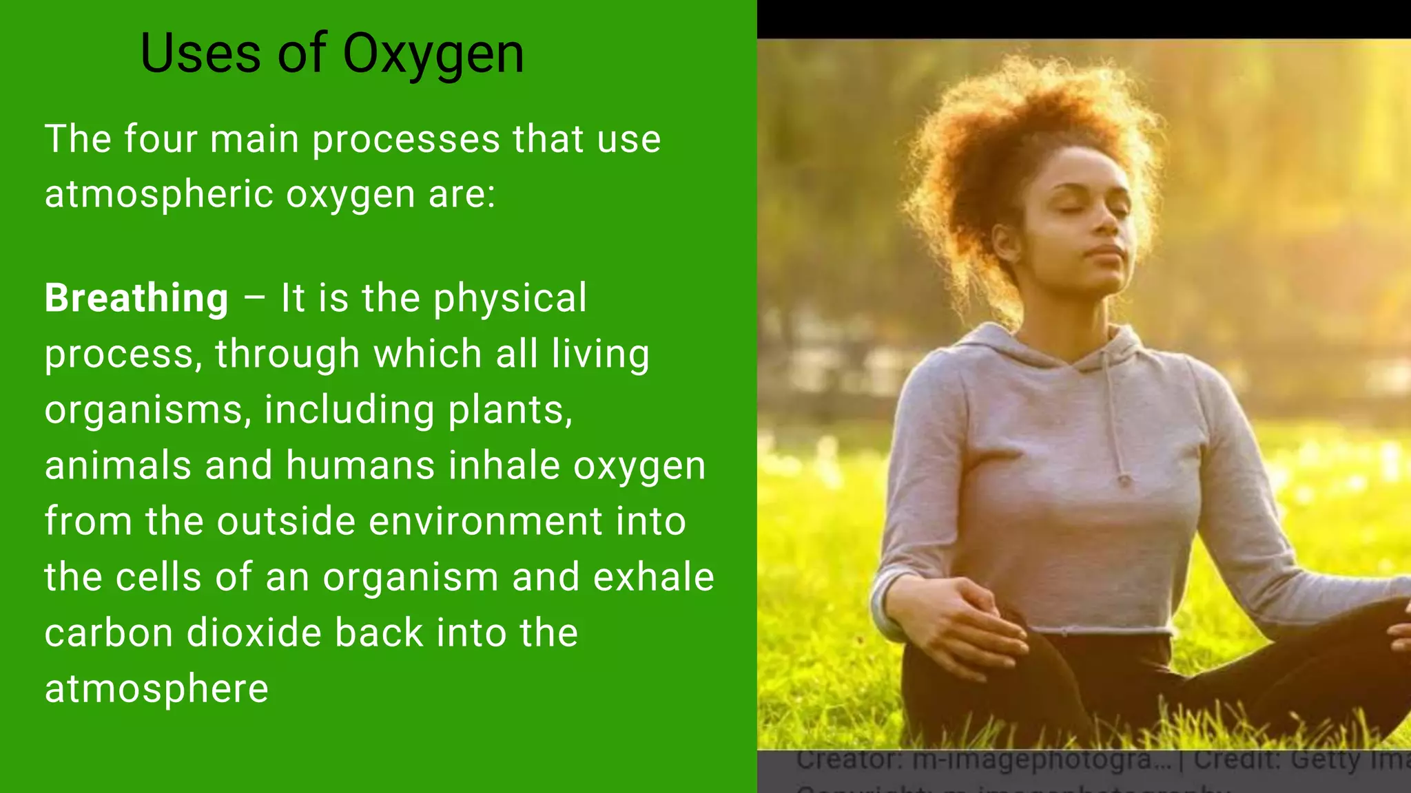 OXYGEN CYCLE.pptx