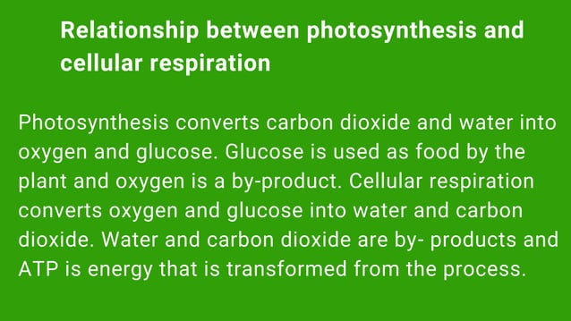 OXYGEN CYCLE.pptx