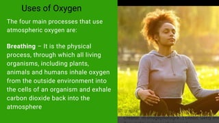 OXYGEN CYCLE.pptx