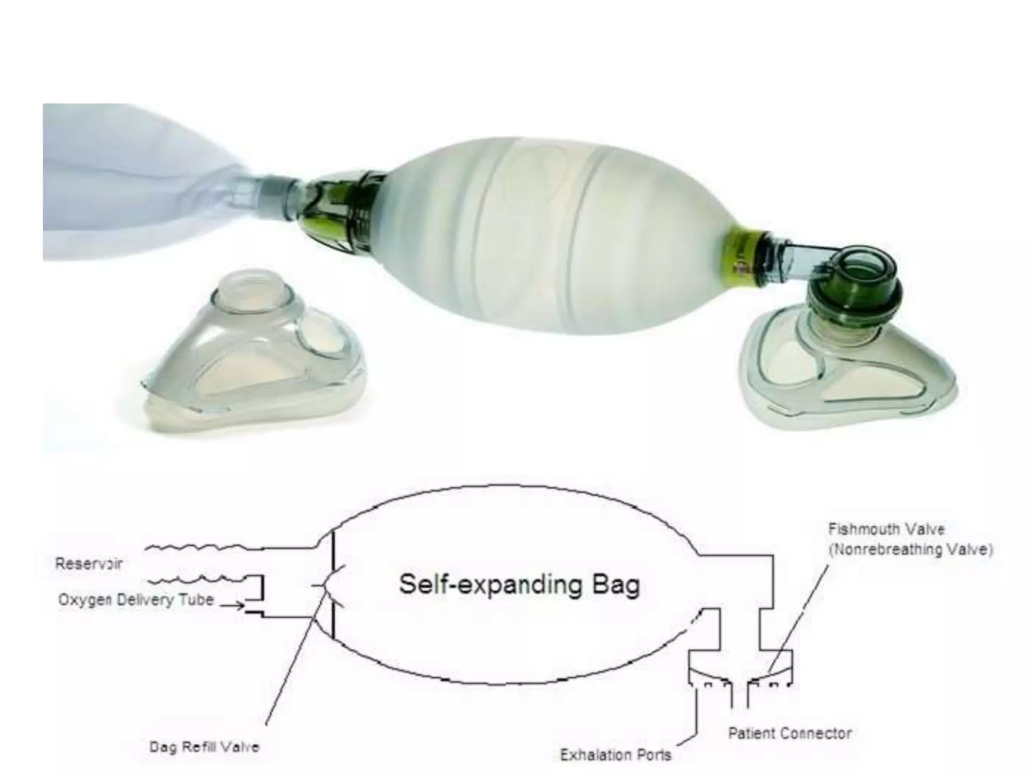 Oxygen delivery devices | PPTX