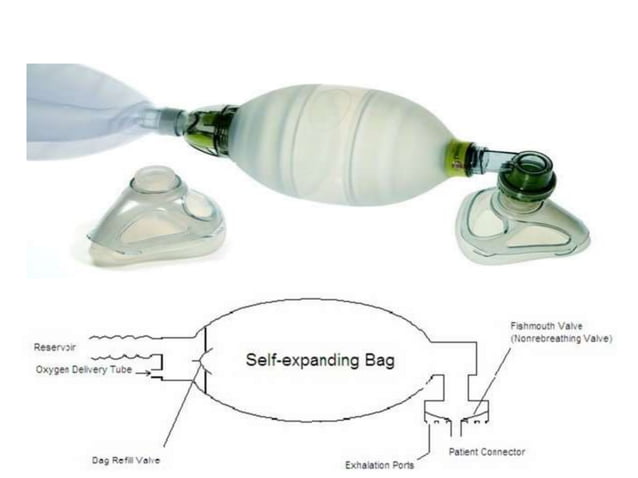 Oxygen delivery devices | PPTX | Ear, Nose and Throat Conditions ...