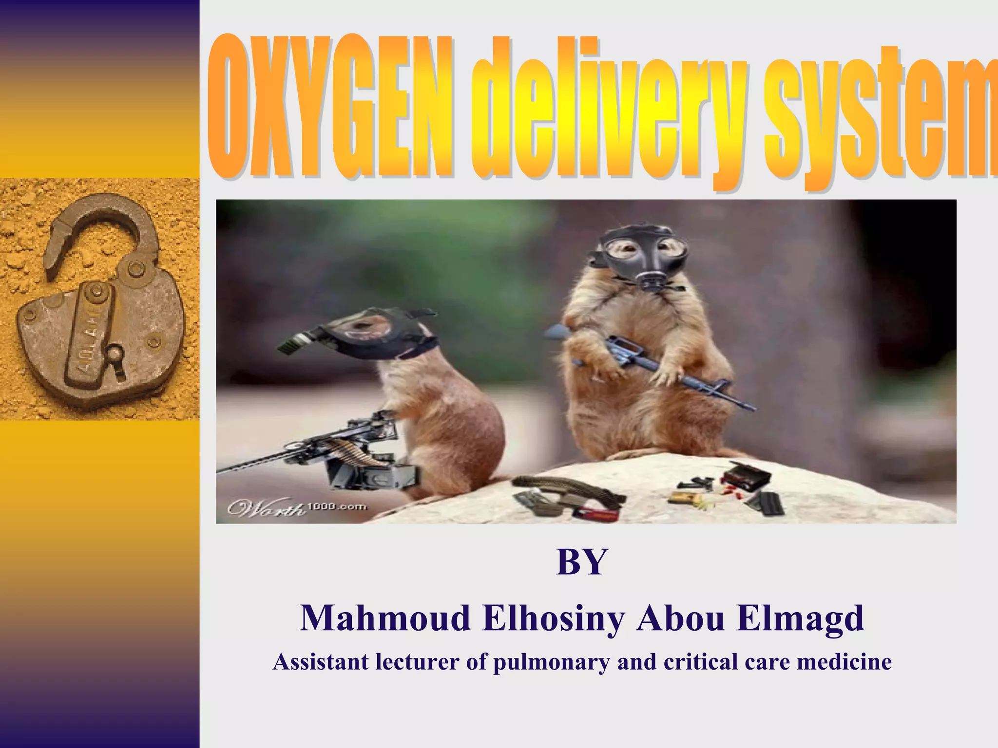 Oxygen delivery systems | PDF