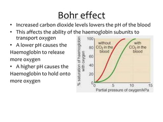 Oxygen dissociation and bohr effect lesson 1 of 2 | PPTX
