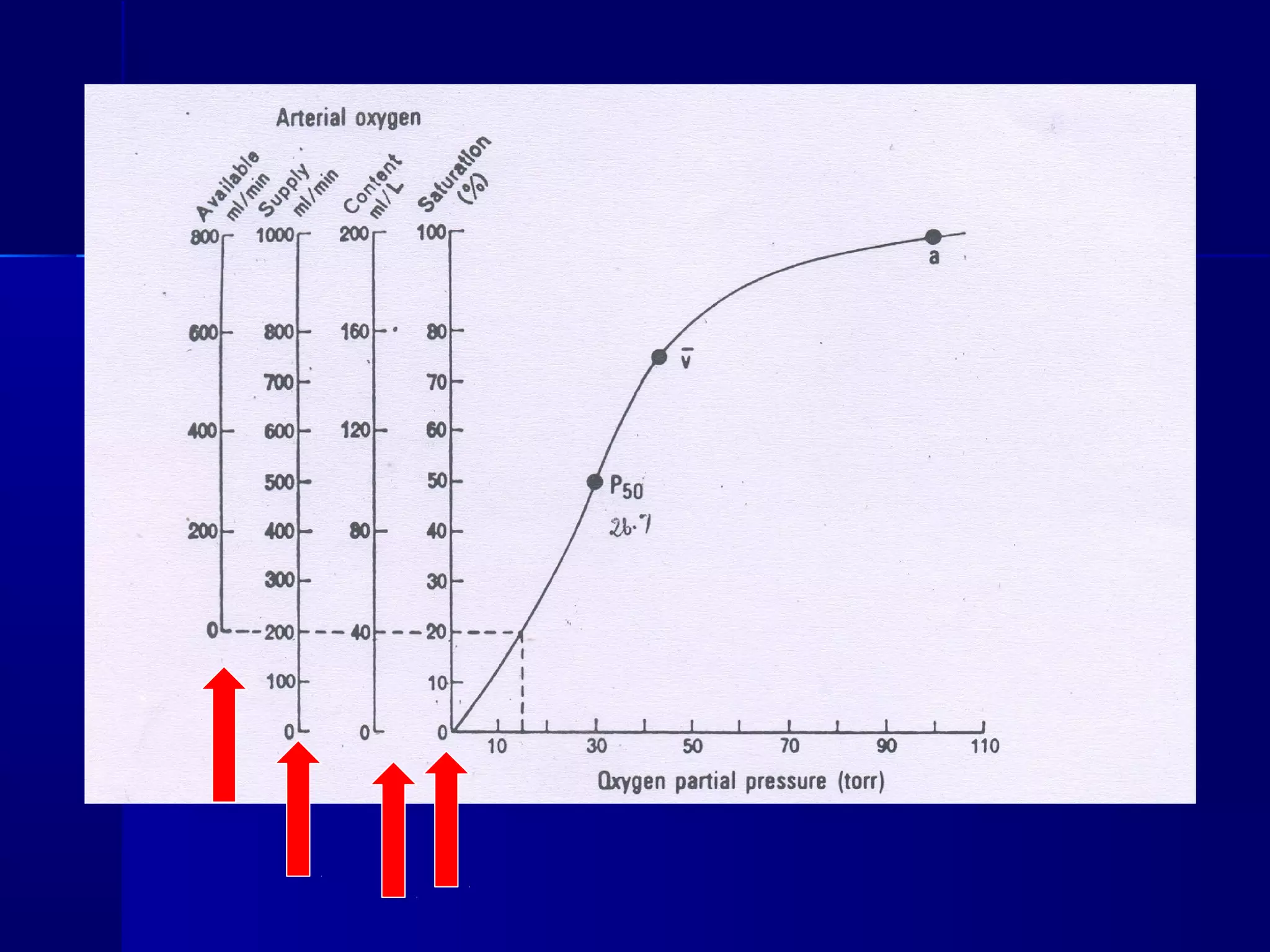 Oxygen dissociation curve | PPT