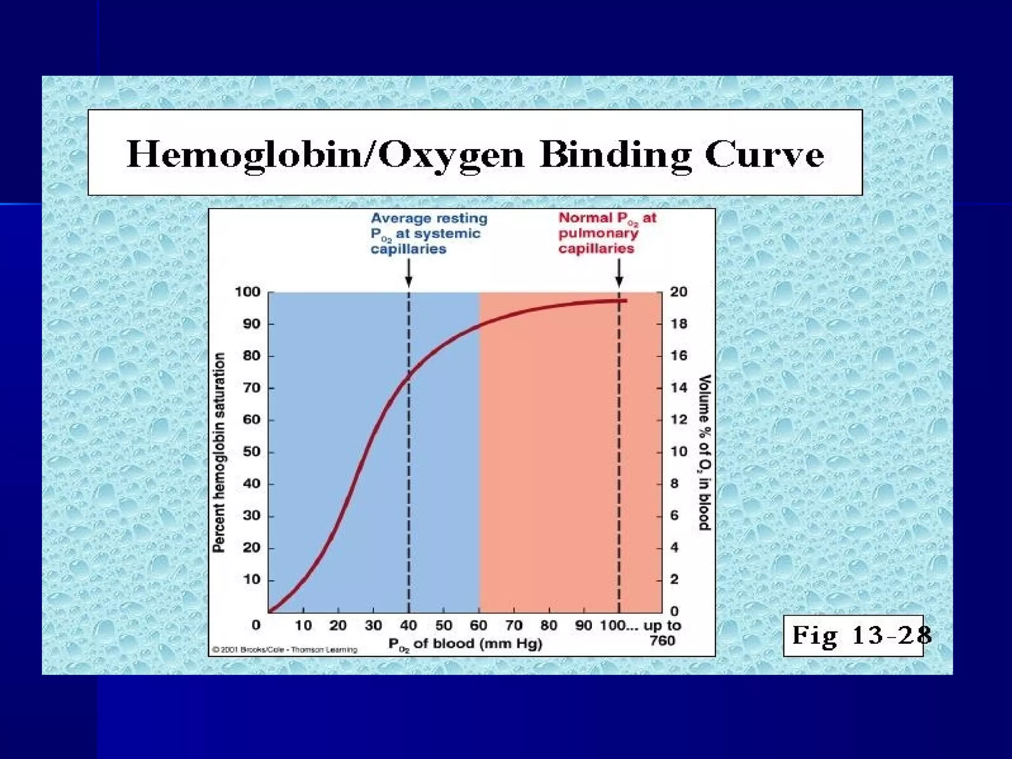 Oxygen dissociation curve | PPT