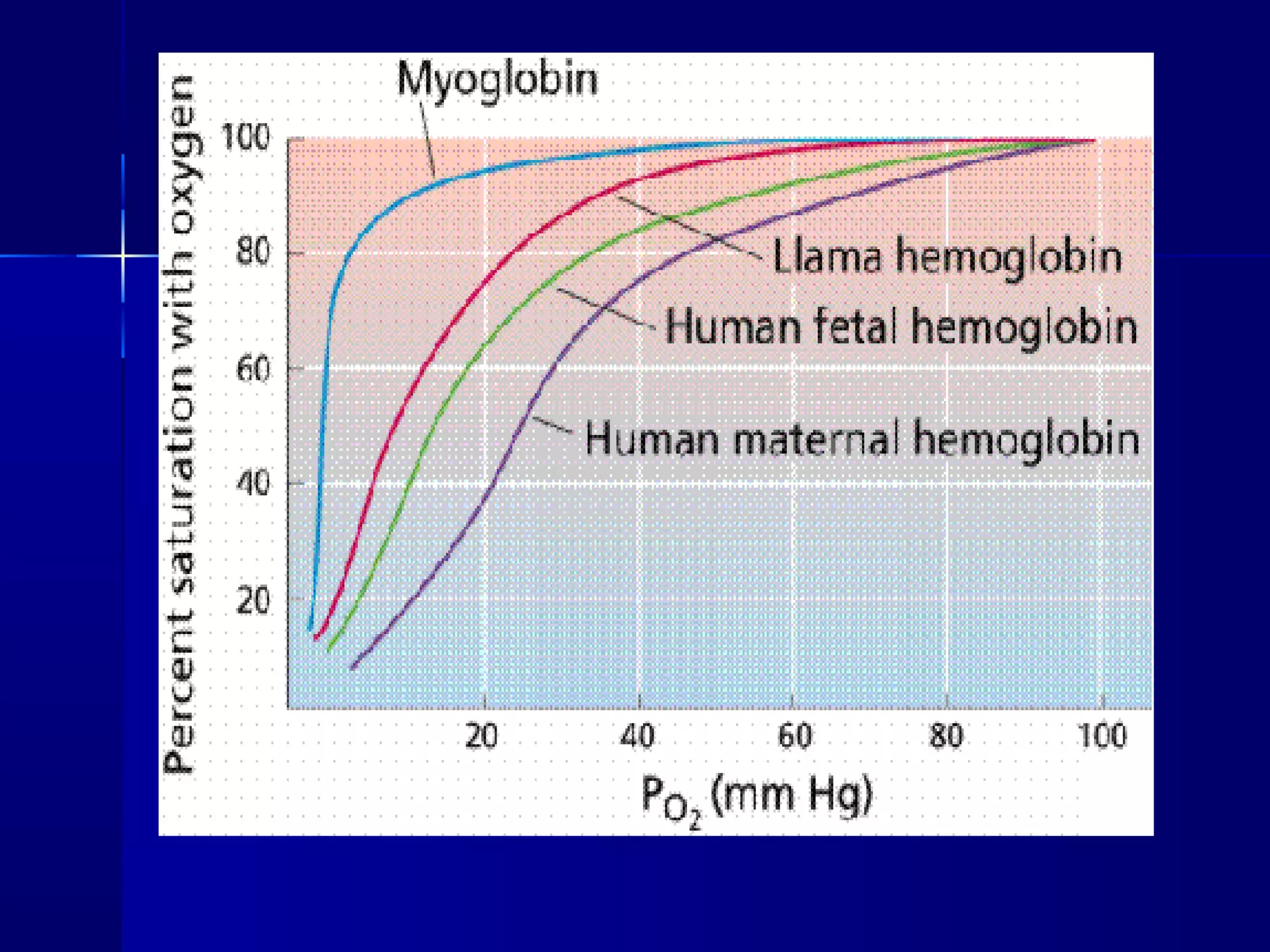 Oxygen dissociation curve | PPT