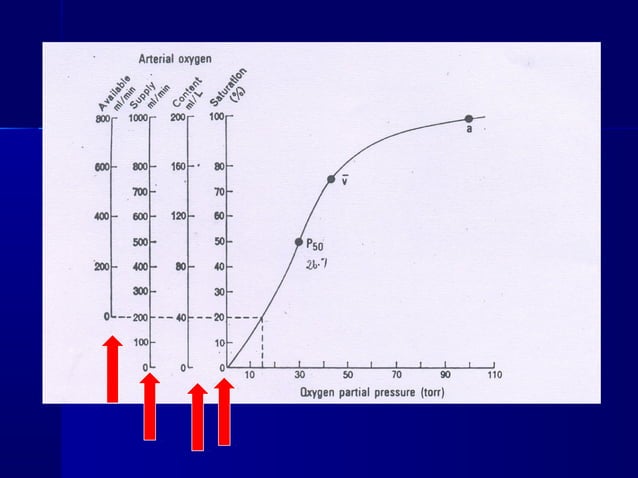 Oxygen dissociation curve | PPT