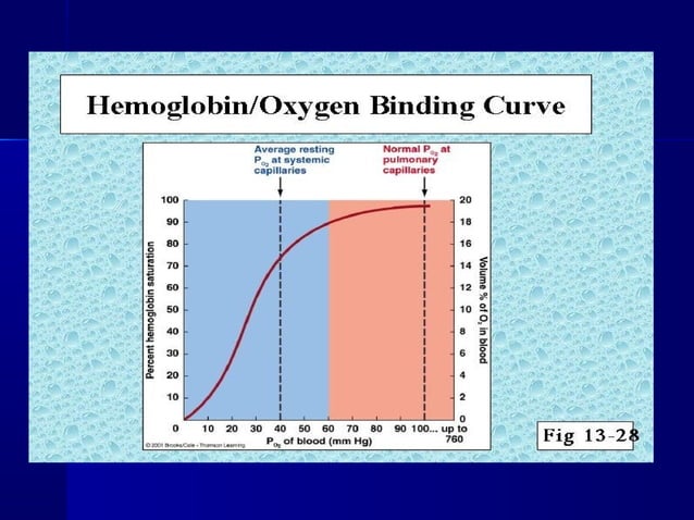 Oxygen Dissociation Curve Ppt