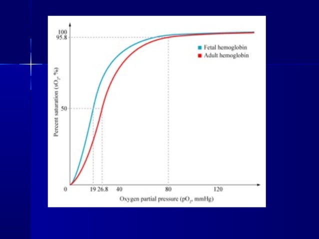 Oxygen dissociation curve | PPT