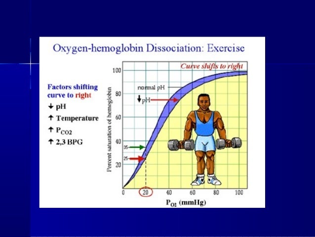 Oxygen dissociation curve