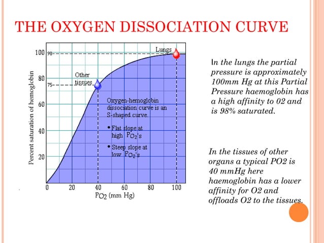 Oxygen dissociation curve | PPT | Lung and Respiratory Health | Diseases and Conditions