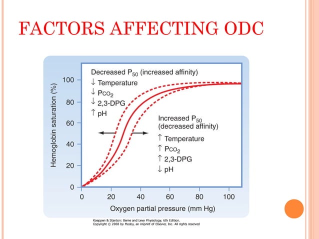 Oxygen dissociation curve | PPT | Lung and Respiratory Health ...