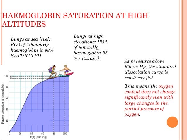 Oxygen dissociation curve