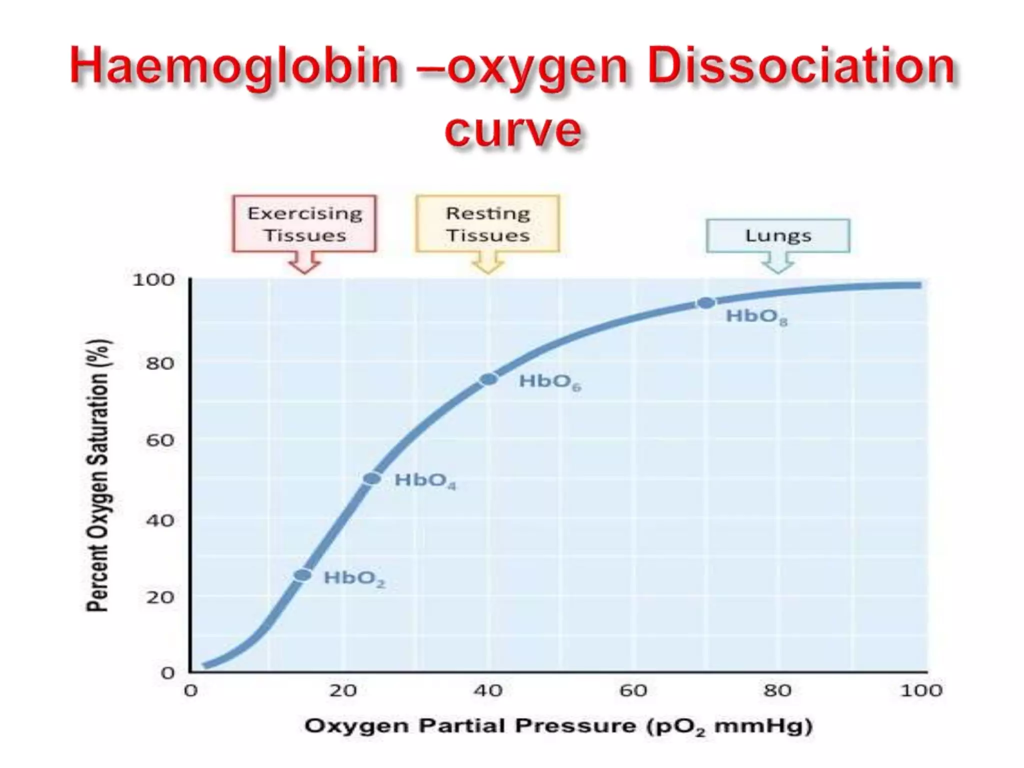 OXYGEN DISSOCIATION CURVE.pptx
