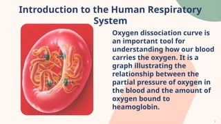 Oxygen Dissociation Curve by naznin.pptx