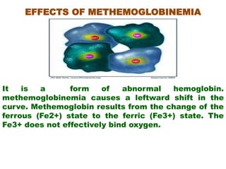 Oxygen hemoglobin dissociation curve | PPT