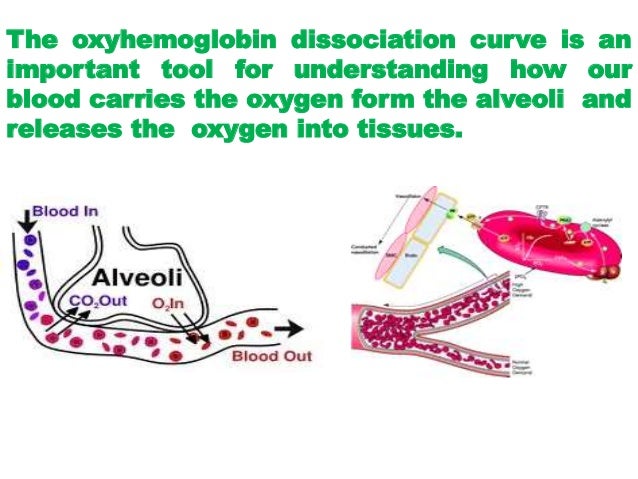 Oxygen hemoglobin dissociation curve