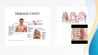 OXYGEN INSUFFICENCY,Hypoxemia is low levels of oxygen in your blood. It ...
