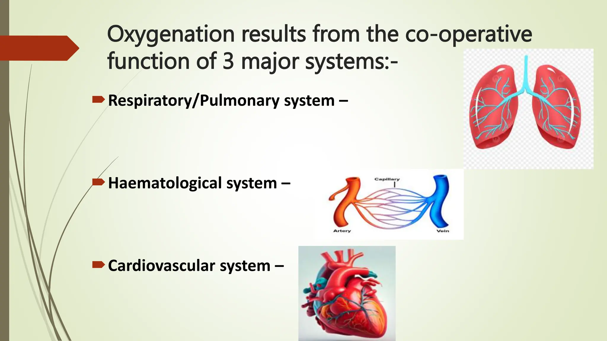 Oxygen Insufficiency By - Jitendra Bokha .pptx