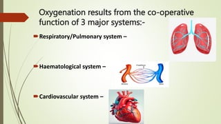 Oxygen Insufficiency By - Jitendra Bokha .pptx