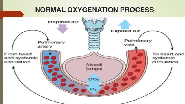 Oxygen insufficiency slide.