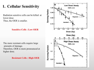 RADIOBIOLOGY: oxygen effect & reoxygenation | PPTX