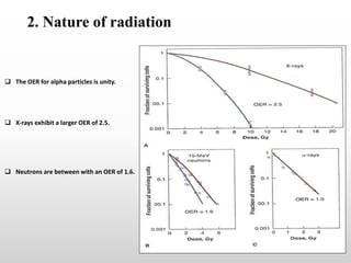RADIOBIOLOGY: oxygen effect & reoxygenation | PPTX