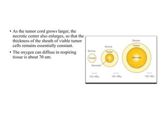 RADIOBIOLOGY: oxygen effect & reoxygenation | PPTX