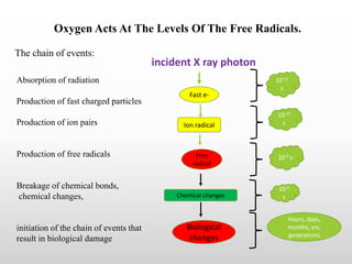 RADIOBIOLOGY: oxygen effect & reoxygenation | PPTX