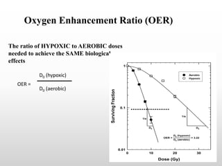 RADIOBIOLOGY: oxygen effect & reoxygenation | PPTX