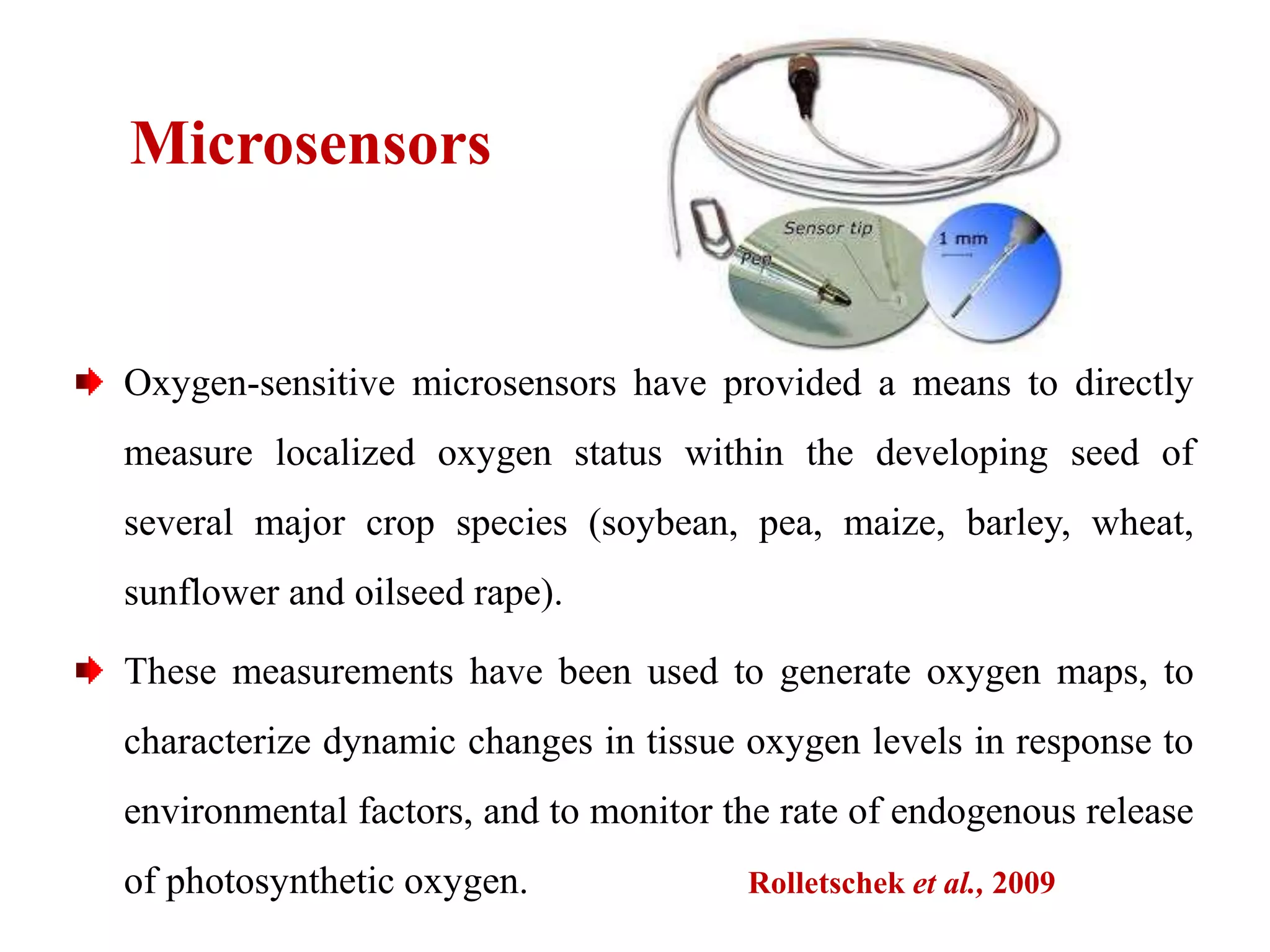 Oxygen status and its implication in seed development | PPTX