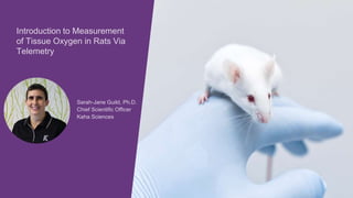 Introduction to Measurement of Tissue Oxygen in Rats Via Telemetry | PPT