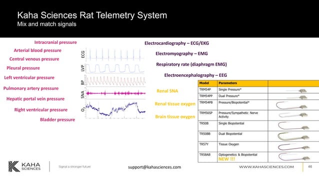 Introduction to Measurement of Tissue Oxygen in Rats Via Telemetry | PPT