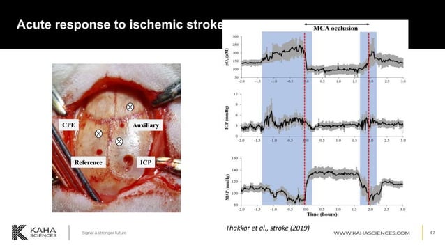 Introduction to Measurement of Tissue Oxygen in Rats Via Telemetry | PPT