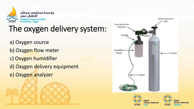 Oxygen therapy in pediatrics | PPTX | Lung and Respiratory Health ...