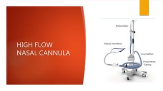 Oxygen therapy | PPTX | Lung and Respiratory Health | Diseases and ...