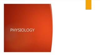 Oxygen therapy | PPTX | Lung and Respiratory Health | Diseases and ...