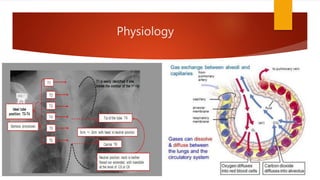 Oxygen therapy | PPTX | Lung and Respiratory Health | Diseases and ...