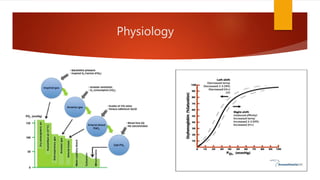 Oxygen therapy | PPTX | Lung and Respiratory Health | Diseases and ...