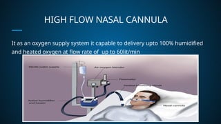 Understanding Oxygen Therapy|Oxygen Therapy | PPT