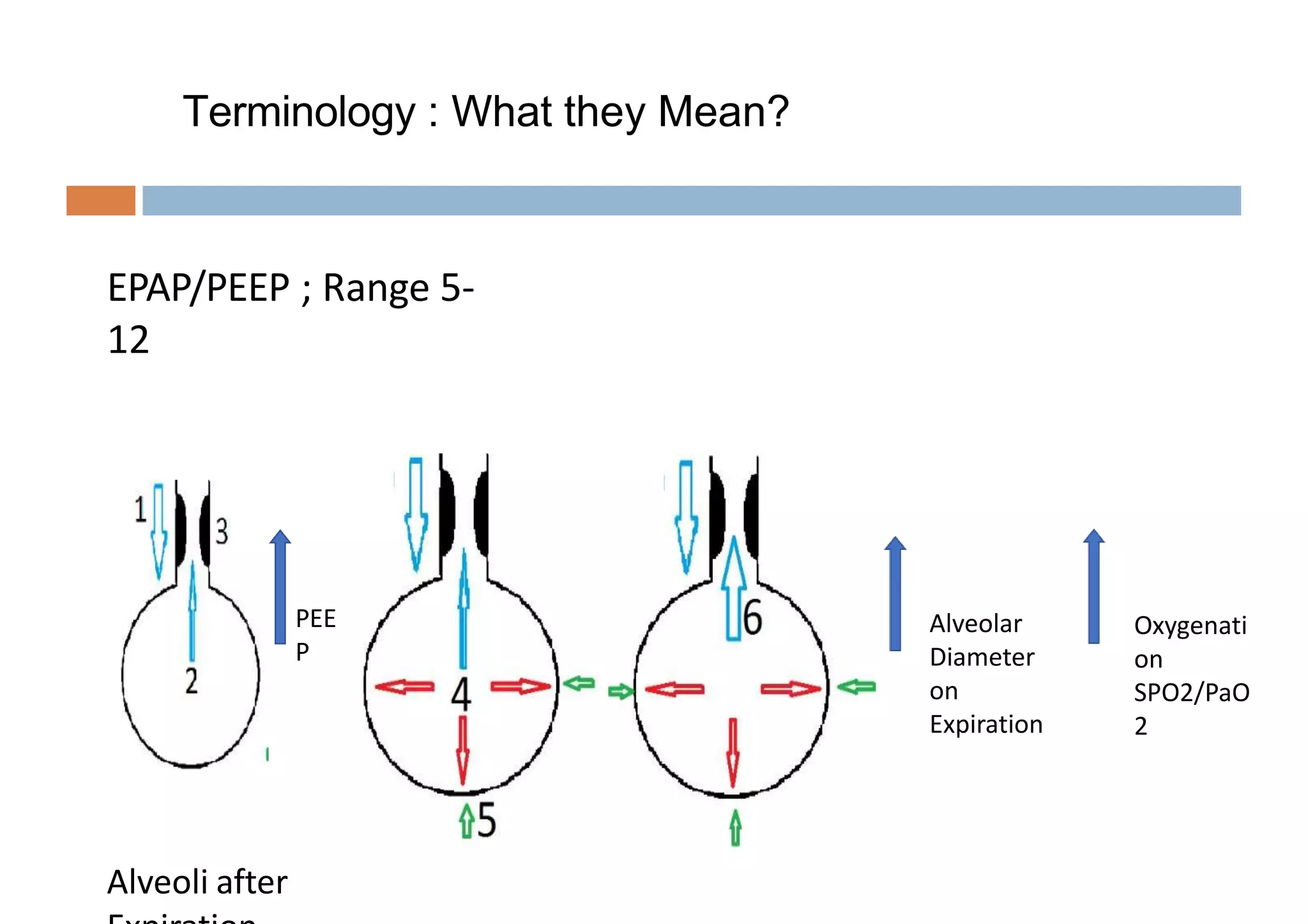 Oxygen therapy and non invasive ventilation | PPT