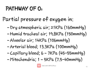 Oxygen therapy ANG.pdf | Lung and Respiratory Health | Diseases and ...