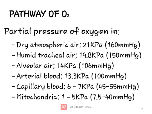 Oxygen therapy ANG.pdf | Lung and Respiratory Health | Diseases and ...
