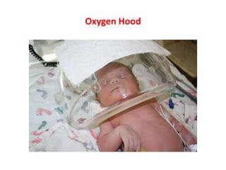 Oxygen Therapy Baby