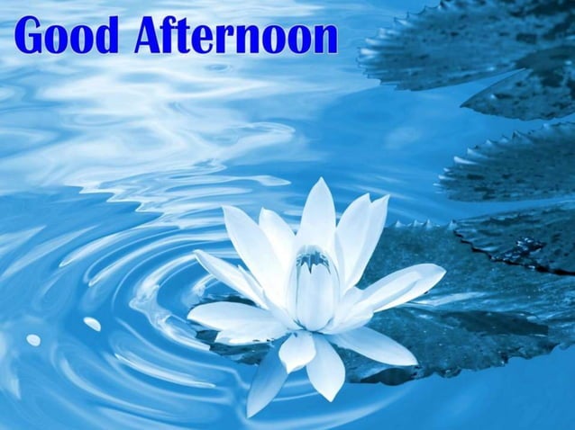 Oxygen therepy | PPT