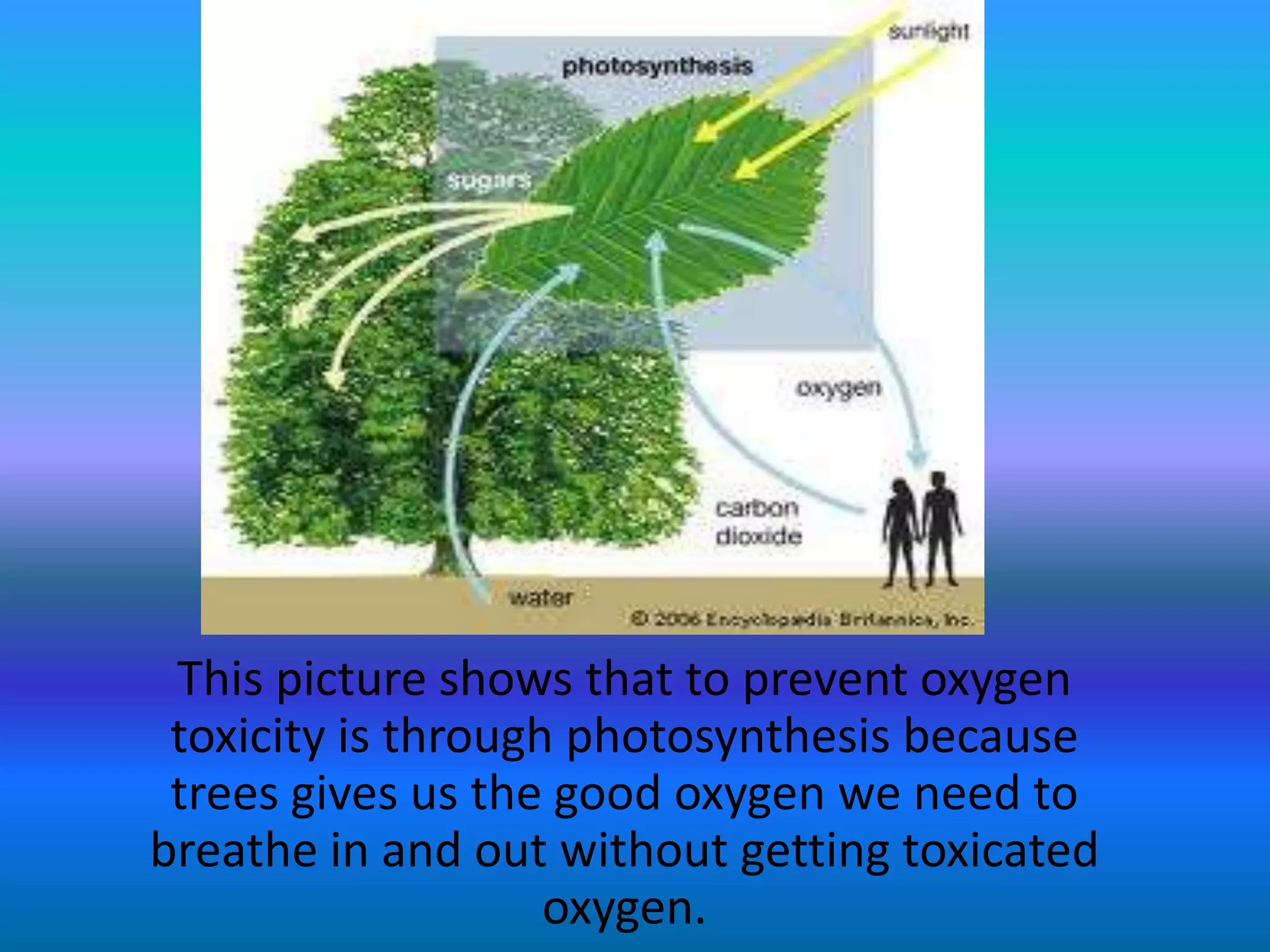Oxygen toxicity | PPTX